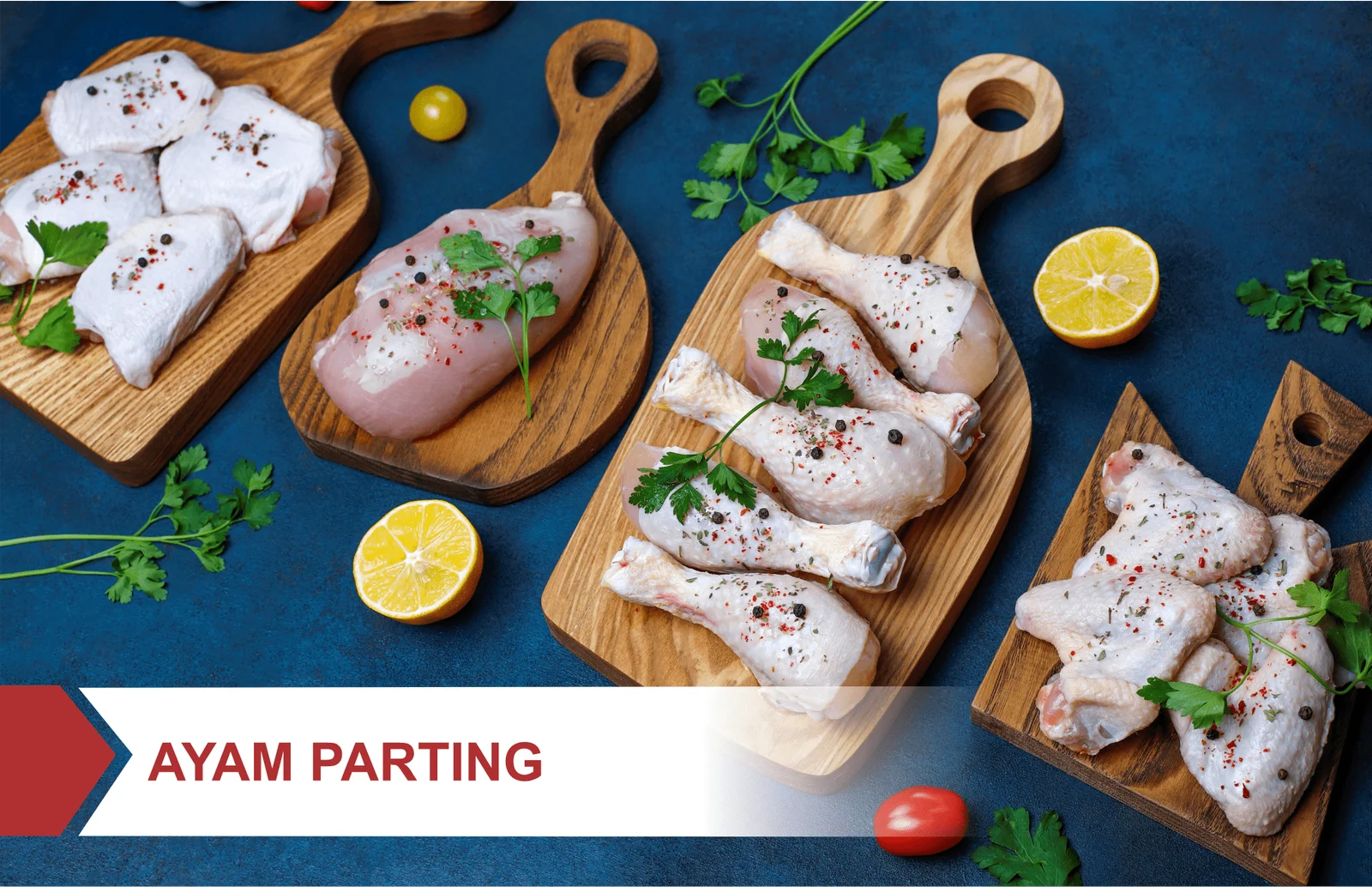 Sawung Agung Indonesia – Rumah Potong Sawung Agung Rumah Potong Terbaik